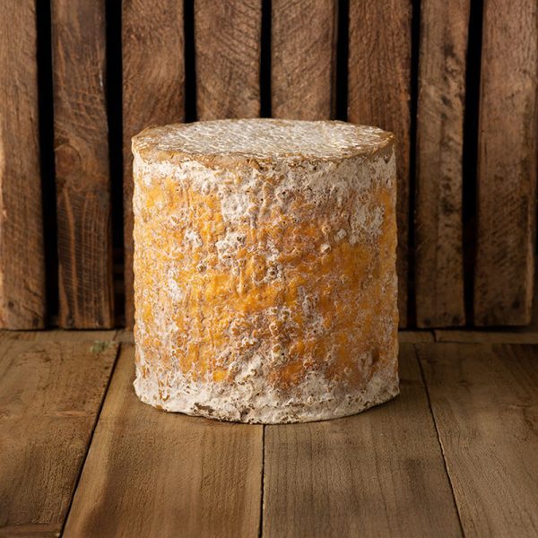 Whole Hartington Blue Stilton Cheese 8kg The King of Cheese