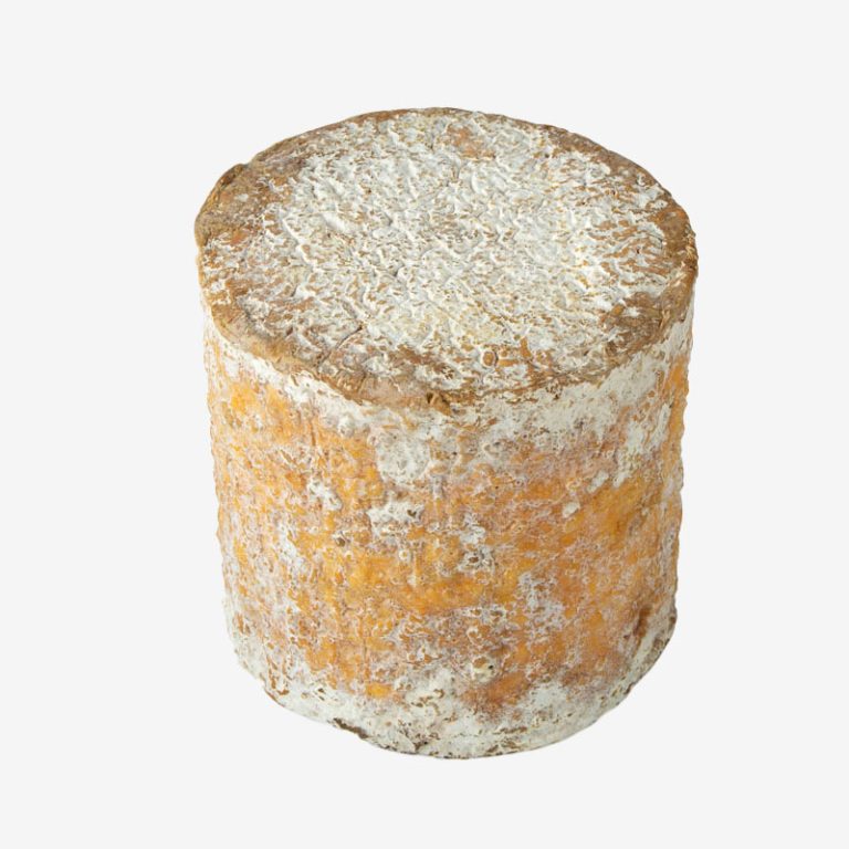 Whole Hartington Blue Stilton Cheese 8kg The King of Cheese