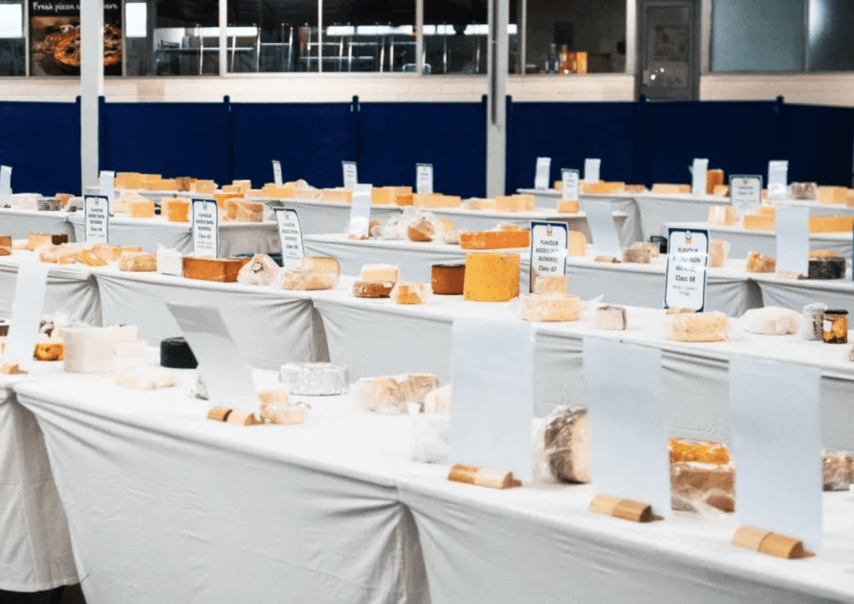 Quadruple Wins at the British and Irish Cheese Awards 2025